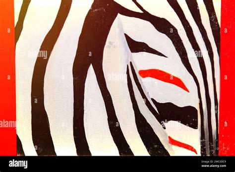 Abstract Retro Background Of Zebra Stripes White With Black In A Red