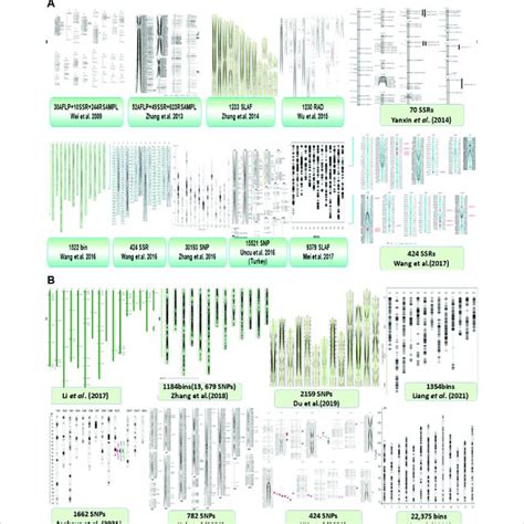 The Status Of Sesame Genetic Linkage Maps For Different Traits Using Download Scientific