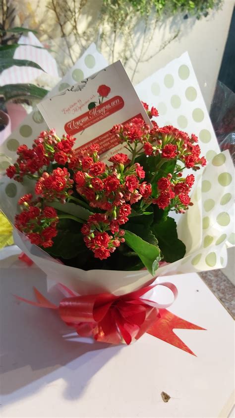 Ховд Цэцэгт мэндчилгээ хүргэлт หน้าหลัก