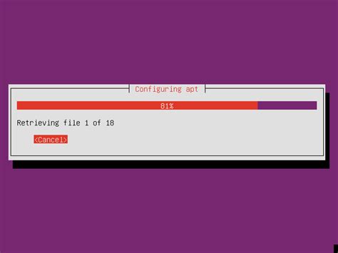 Skipping Configuring Apt During System Installation On Ubuntu Server