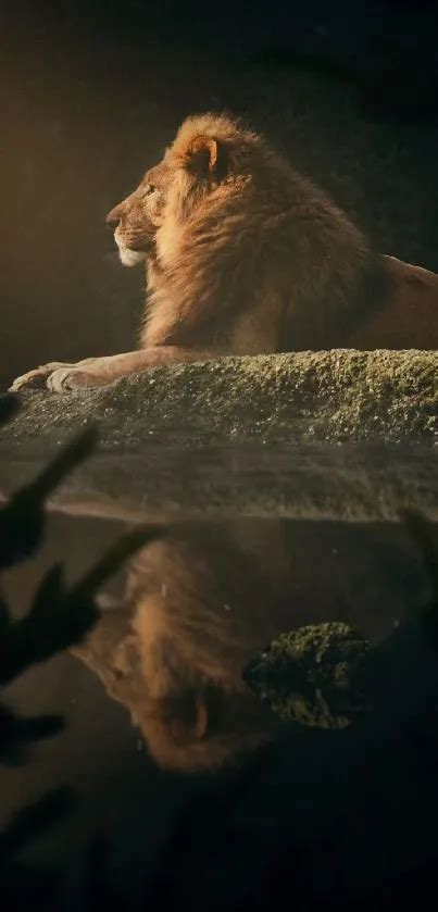 Majestic Lion Profile Wallpaper Free Download