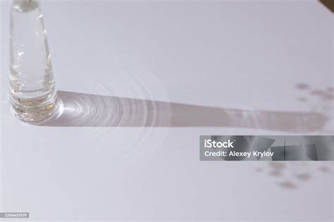 유리잔과 꽃의 흰색 배경에 그림자 유리 꽃병에 담긴 말린 꽃이 빛의 광선에 담겨 있습니다 집 가득 찬에 대한 스톡 사진 및 기타