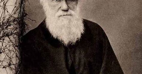My Favourite Thing About Darwin Imgur