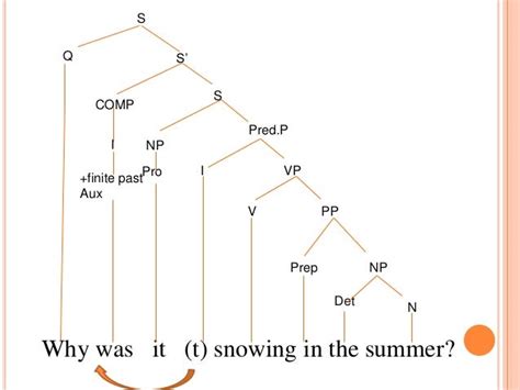 Tree Diagrams Wh Question