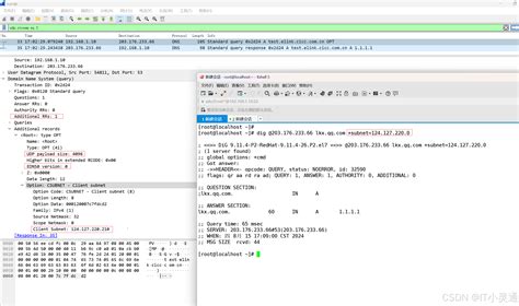 部署edns——客户端封装ecs字段并分析 csdn博客