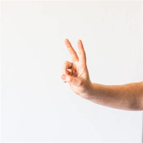 Hand Gestures Dataset Kaggle