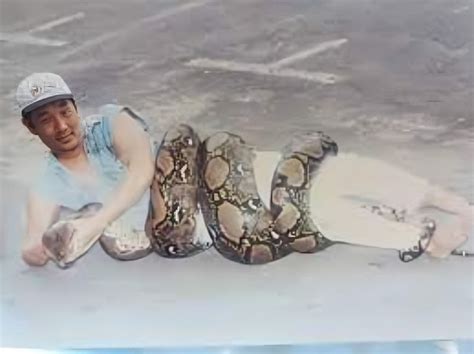 Reticulated Python Constricting Man By Plm004 On Deviantart