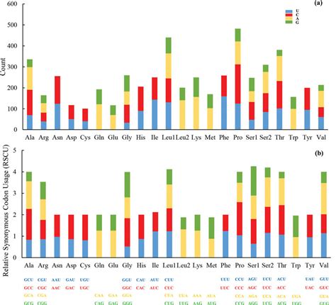 codon distribution a and relative synonymous codon usage rscu b in