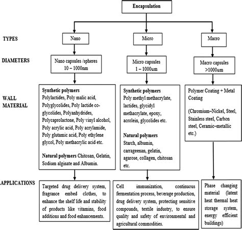 Different Types Of Encapsulation [60 65] Download Scientific Diagram