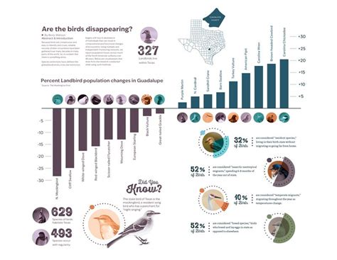 Editorial Infographics Bridging The Gap Between Complexity And Clarity In Design Education
