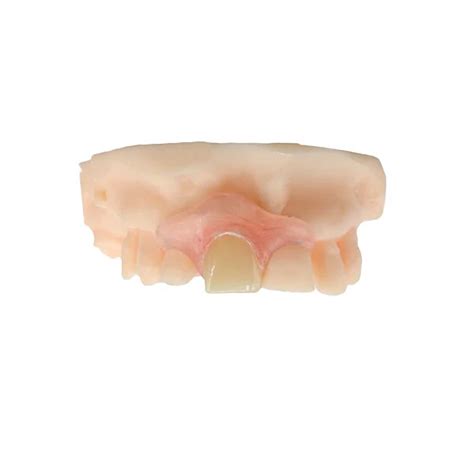 Shop Costech Dental Lab