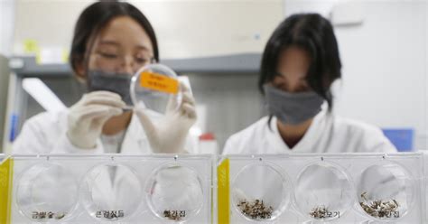 양주서 말라리아 확진자 1명 발생…중국얼룩날개모기 조심