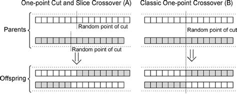 Recombination Operators One Point Cut And Slice Crossover A And