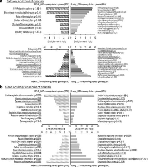 Microarray Data Biological Process Classification A Pathway Enrichment Download Scientific