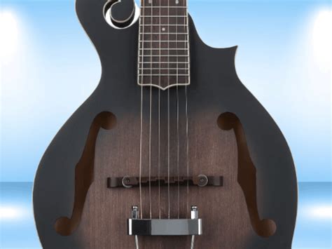 How Many Strings Does A Mandolin Have Teds List