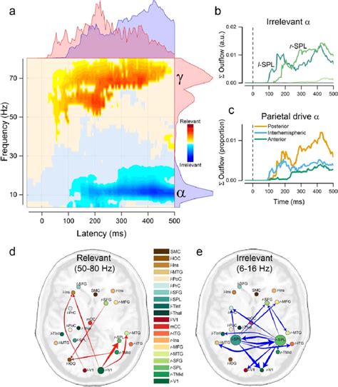 Fig Ure 4 Time Varying Directed Connectivity Results A Download