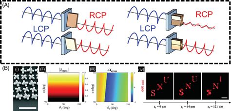 X‐shaped Meta‐atoms Xms A Illustration Of Xms The Amplitude Is Download Scientific