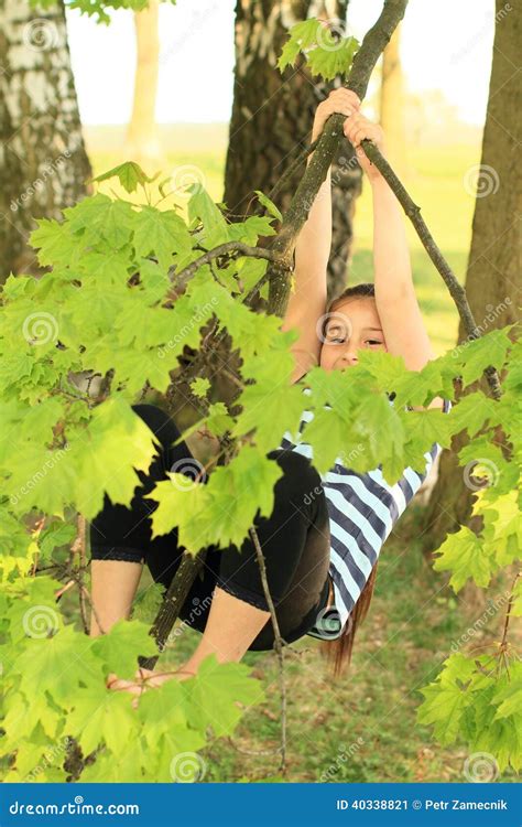 Peu D Enfant Fille Accrochant Sur La Branche Image Stock Image Du