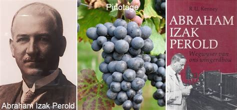 Perold Abraham Izak Wein Plus Lexikon