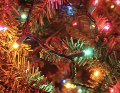 Laurel Conklin On Tumblr