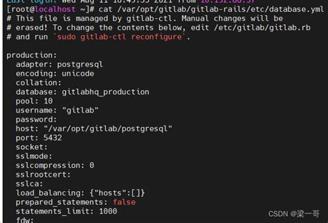 gitlab设置普通用户为管理员 gitlab管理员账号 csdn博客