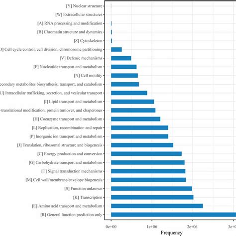 Kegg Metagenome Functional Predictions Of Otus From Microbiome In The Download Scientific