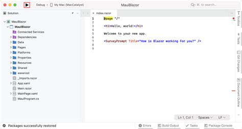 Build A Net Maui Blazor Hybrid App Microsoft Learn