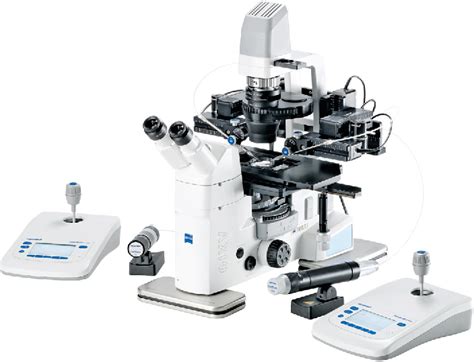 Figure 3 From Microinjection Into The Gonads Of C Elegans Using Eppendorf Injectman ® 4