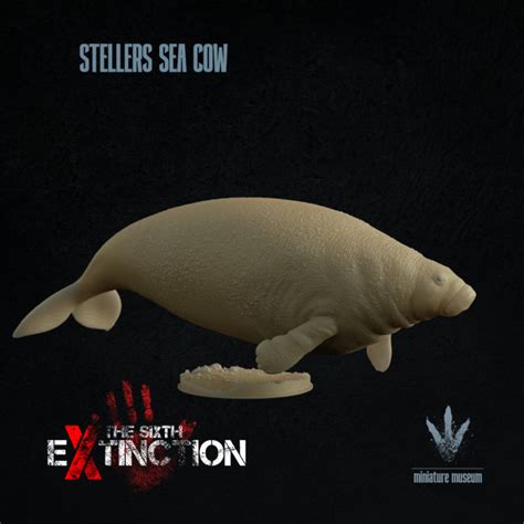 Why Is The Stellers Sea Cow Extinct