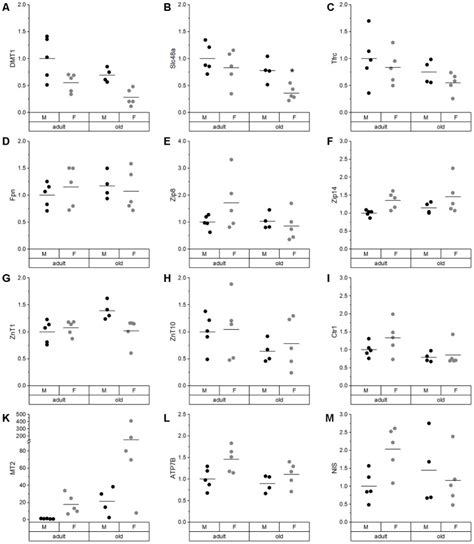 Aging Affects Sex And Organ Specific Trace Element Profiles In Mice Pmc