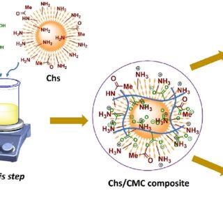 SEM Images With Dimension Of Chs CMC Chs CMC Chs CMC And