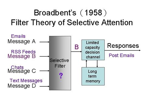 Attention Broadbents1958 Filter Theory Of Selective Attention Message