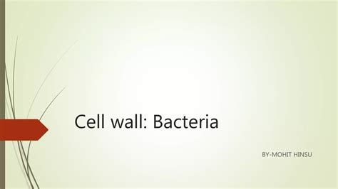 Cell Wall Bacteria Pptx