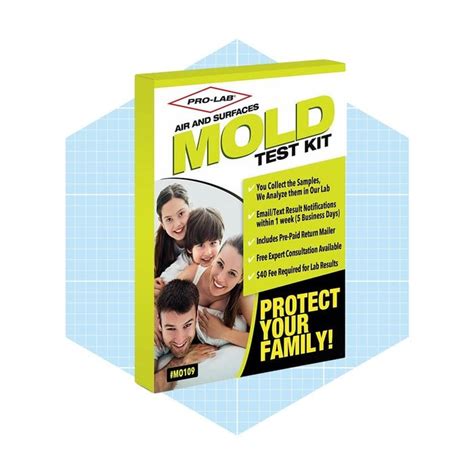 7 Best Home Mold Test Kits For A Healthy Environment