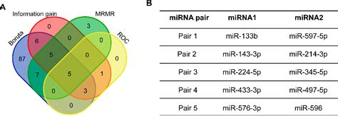 Figure 3 From A Diagnostic Classifier Based On Circulating Mirna Pairs For Copd Using A Machine