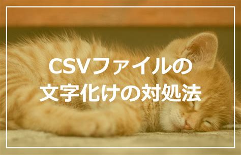 Csv Character Corruption Eye テイクユアタイム