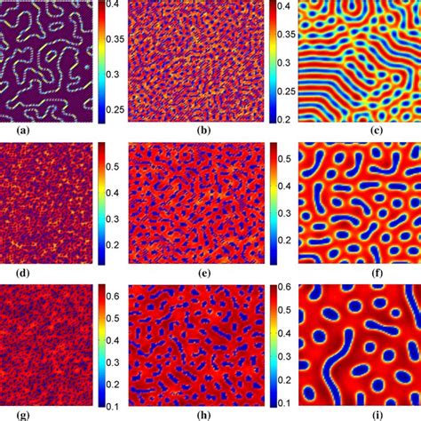 Turing Patterns For Prey On 2d Lattices At Download Scientific Diagram
