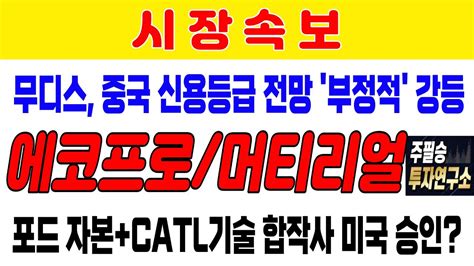 에코프로비엠머티리얼즈 포드100자본중국catl기술 합작사 승인 무디스 중국 신용등급 전망 부정적으로 강등 알리익스프레스 짝퉁방지 서정덕 박순혁 선대인