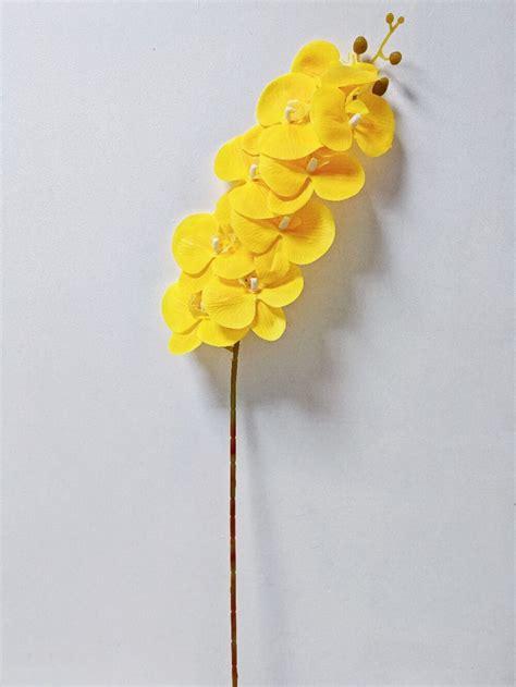 Single Stem Orchid Yellow More Than 24 £175 Before Vat Each