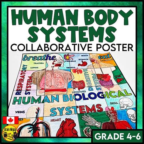 Human Body Systems Collaborative Poster Paper Brainninjas