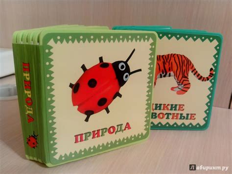 Книга: Мои первые слова - . Купить книгу, читать рецензии | Лабиринт