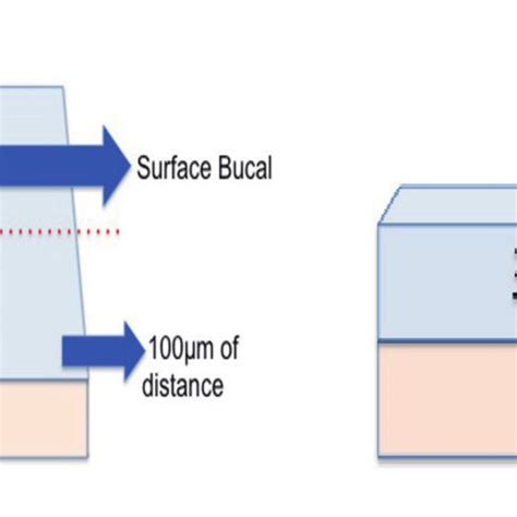 Schematic Of Surface Microhardness Evaluation And Longitudinal Cut For Download Scientific