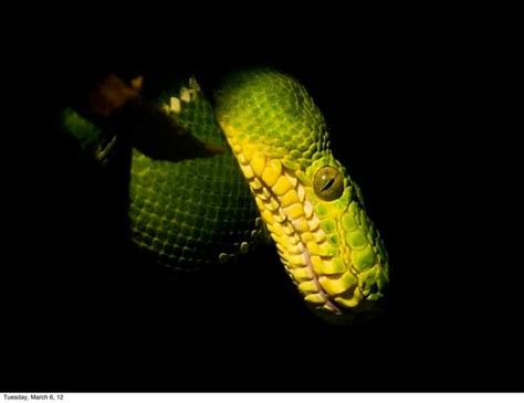 Програмиране с Python 2012 лекция 0 Ppt Програмиране с Python 2012 лекция 0 Ppt