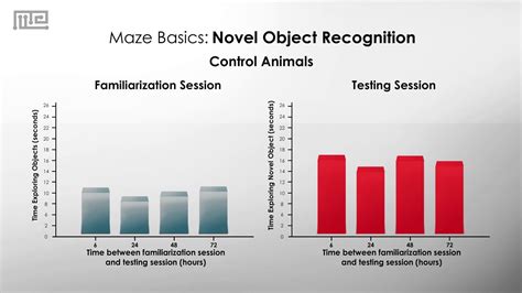Novel Object Recognition Test Youtube