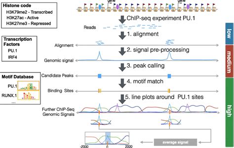 Example Of A Typical Pipeline For The Analysis Of A Transcription