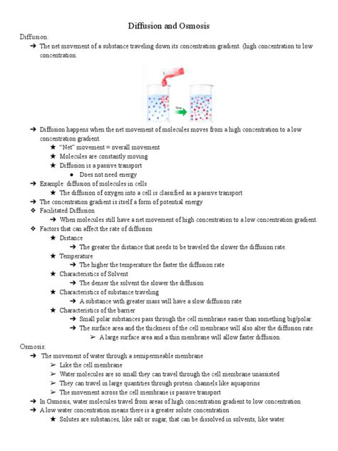 Bio Quiz 3 Pdf Osmosis Diffusion