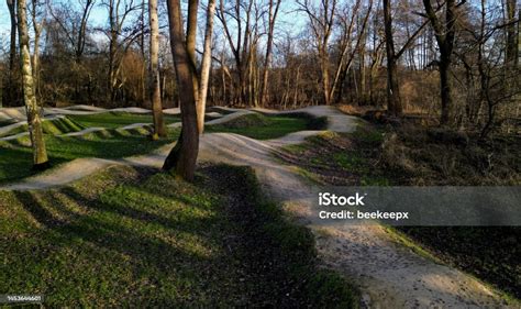 자전거 트레일 트랙이 기울어 진 숲은 땅 속에서 차례로 파고 들어 어린이 글레이드 태양 그림자 경주 새로운 잔디밭에도 완벽한 모양으로 산악 자전거를 파고 들었다 0명에 대한