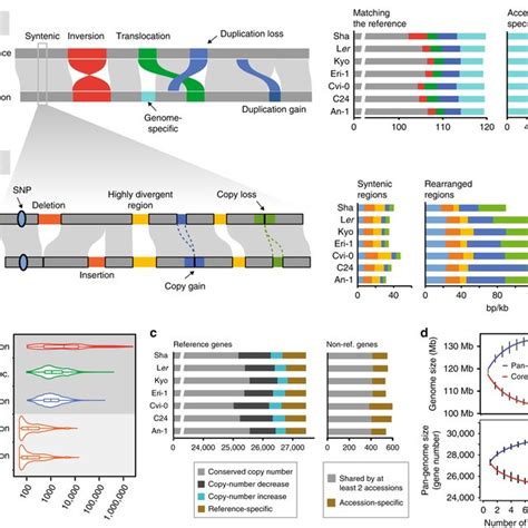 Structural And Sequence Differences Between The Genomes A Schematic Of