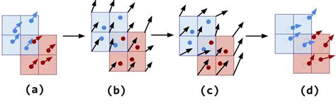 the material point method mpm algorithm with two grid multi species