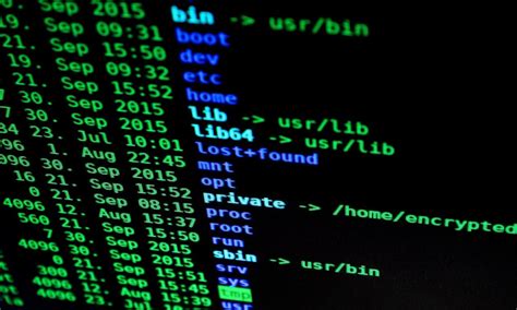 7 Linux Commands To Gather Information About Your System